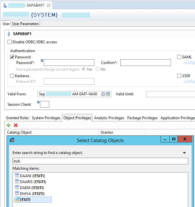 DB02 SQL Editor: Missing HANA Privilege of DB User